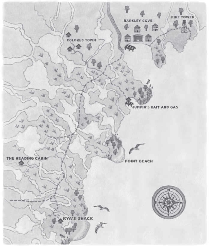 Where the Crawdads Sing: Questions and Answers (Spoilers, Ending, Etc ...