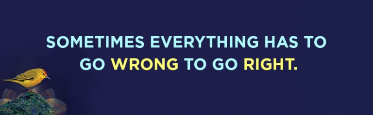 Recap, Chapter Summary + Review: Wish You Were Here by Jodi Picoult ...